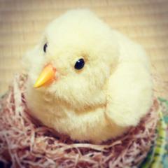 comari-uchiさん(カンタン在宅ワーカー)に依頼・外注する | 簡単ネット発注なら【クラウドワークス】